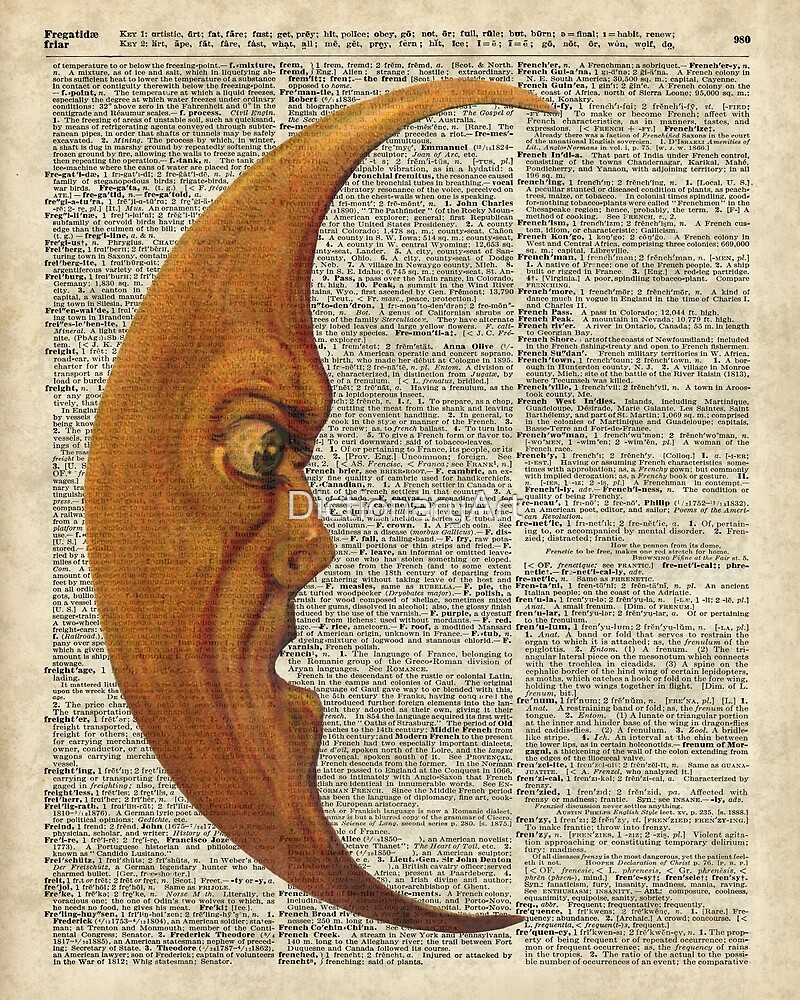 "Vintage Half Moon Face Dictionary Art" by DictionaryArt | Redbubble