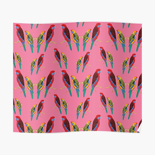 "Australian Rosellas print (pink)" Poster for Sale by Maisie86 | Redbubble