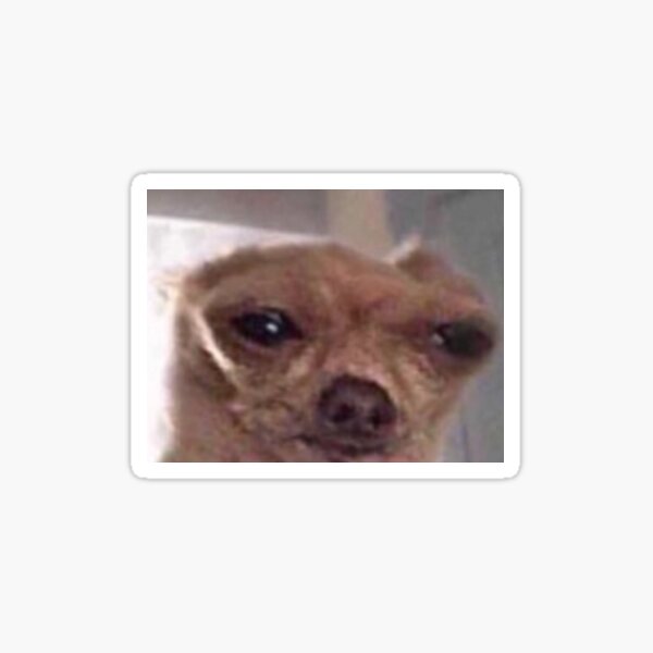 "Sad dog" Sticker by Mushymuu | Redbubble