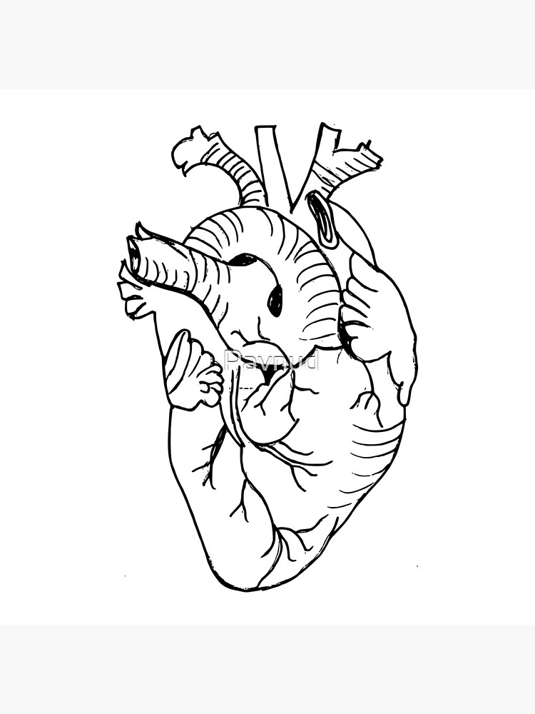 "Real Heart Anatomical Ink Illustration" Art Print for Sale by Pavnud ...