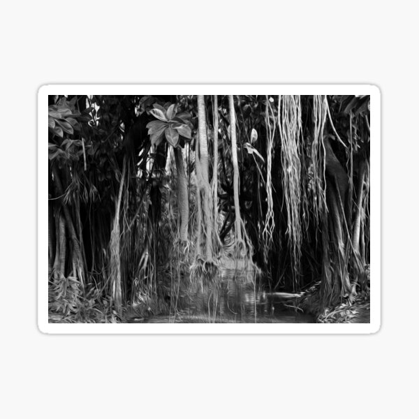 "Amazing roots " Sticker for Sale by nahuaphoto | Redbubble