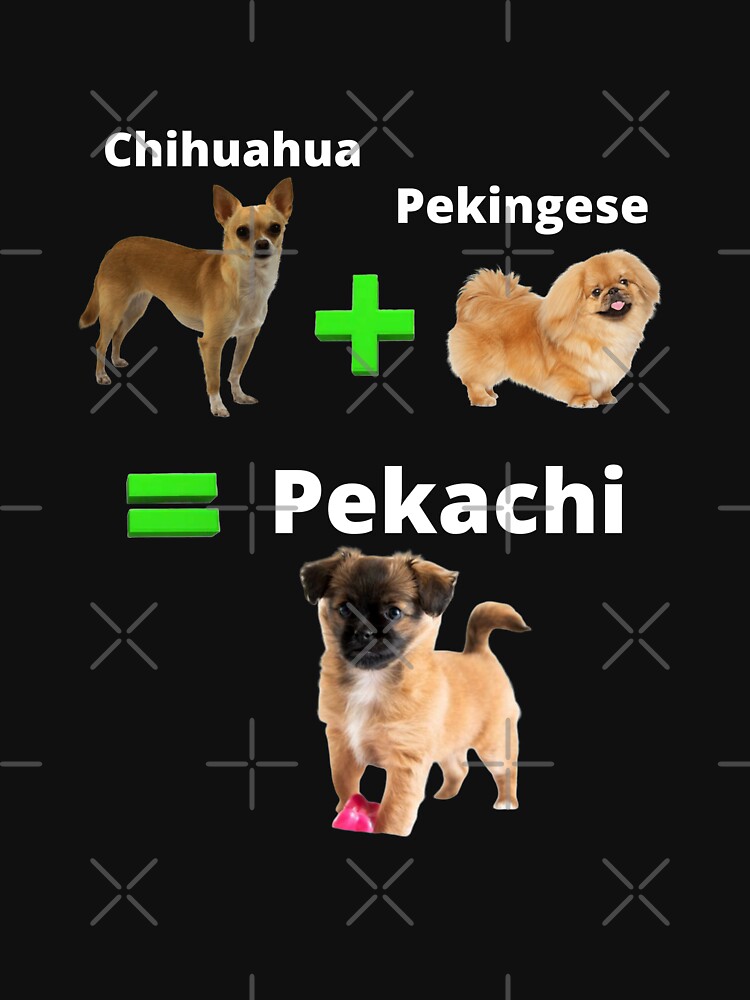 "Pekachi" T-shirt for Sale by Lomyn | Redbubble | pekachi t-shirts ...