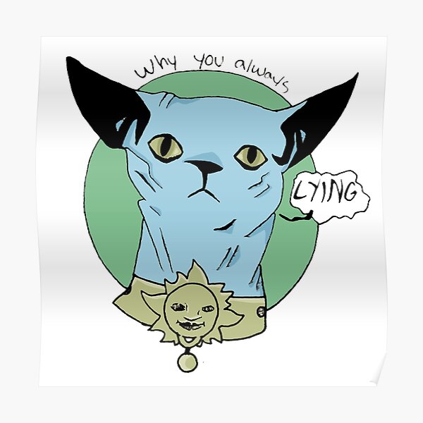 Why You Always Lying Cat Poster By Shadowhawk Art Redbubble