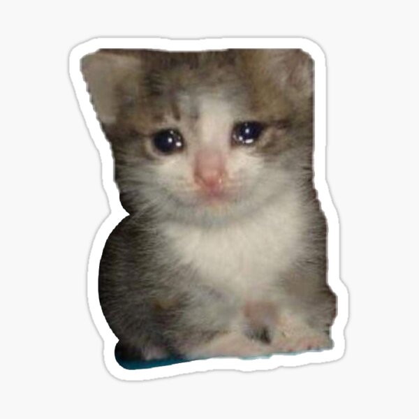 "Crying cat" Sticker for Sale by theasim | Redbubble