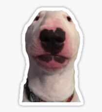 Target Dog Stickers | Redbubble