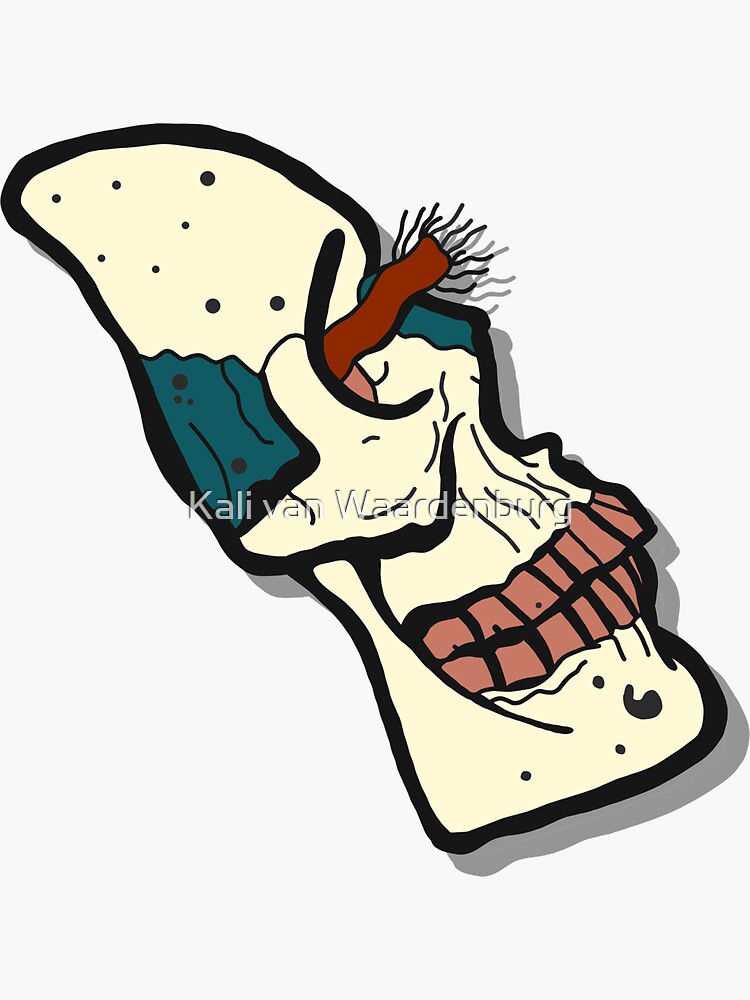 "Skull Science" Sticker by KaliCuts | Redbubble