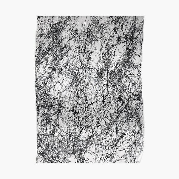 "Abstract black and white string art" Poster for Sale by andimaxxwell ...