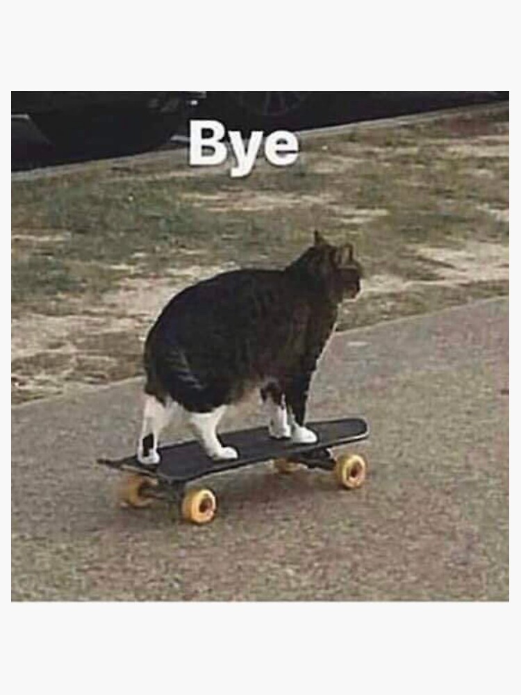 "Bye cat skateboarding" Sticker for Sale by Beetlejuic3 | Redbubble