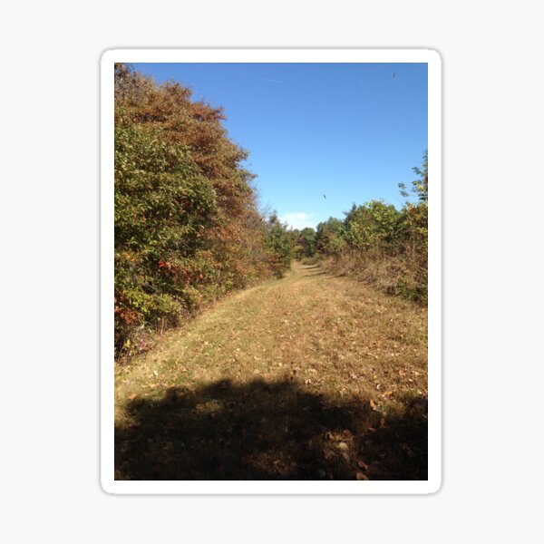 "Trailhead in Eagle Bluffs Conservation Area" Sticker for Sale by ...