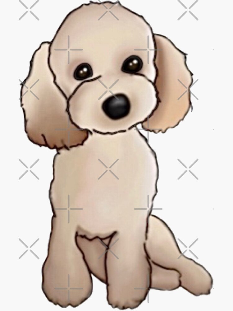 "toy poodle" Sticker by oliviaaho | Redbubble