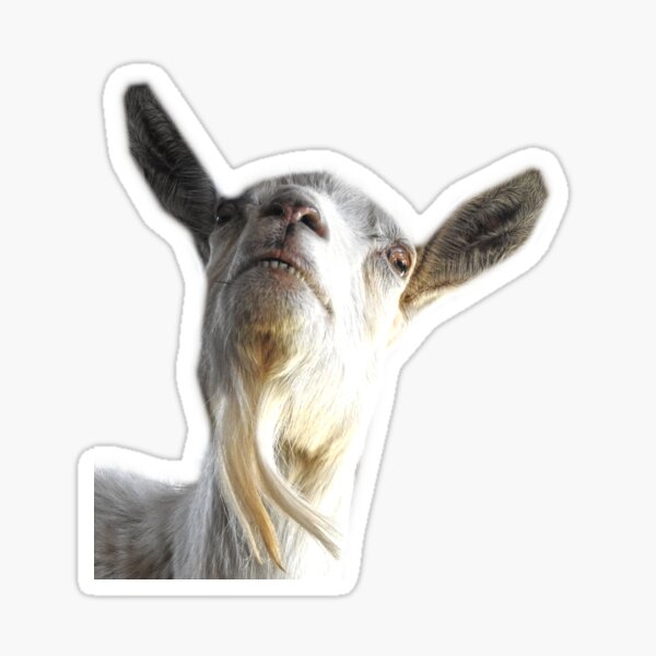 "funny alien goat face, smilling goat " Sticker for Sale by 3bubblez ...