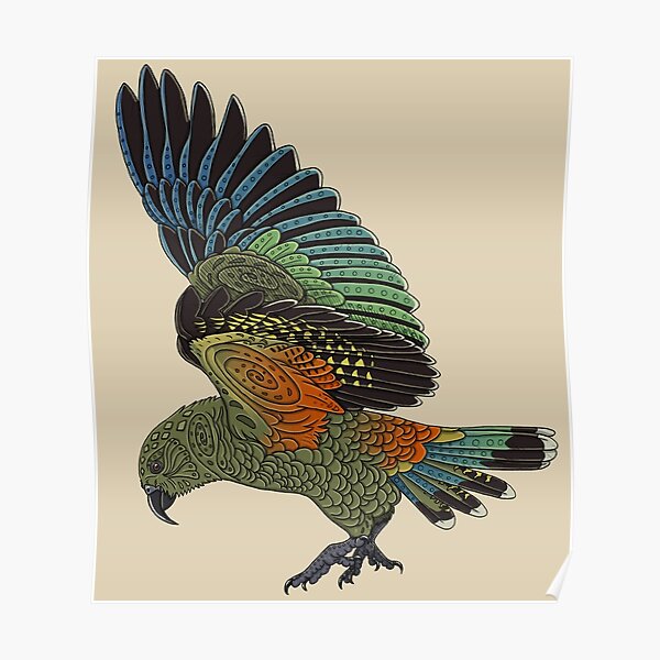 "Kea" Poster by Corvus-latrans | Redbubble