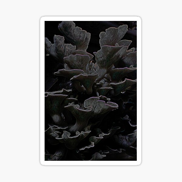 "Phoenix Rising" Sticker for Sale by Man-O-war | Redbubble