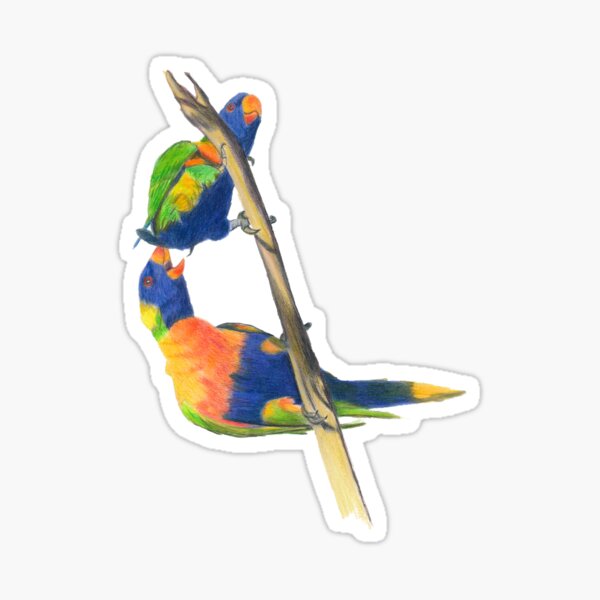 "A Pair of Parrots" Sticker by STHoganArtist | Redbubble