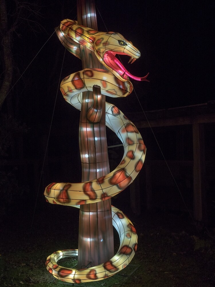 "Boa Constrictor" Poster by ivoire | Redbubble