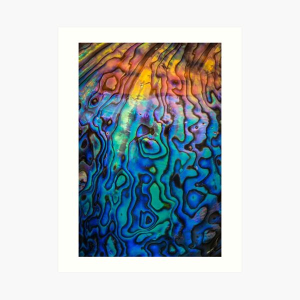 Paua Art Prints | Redbubble