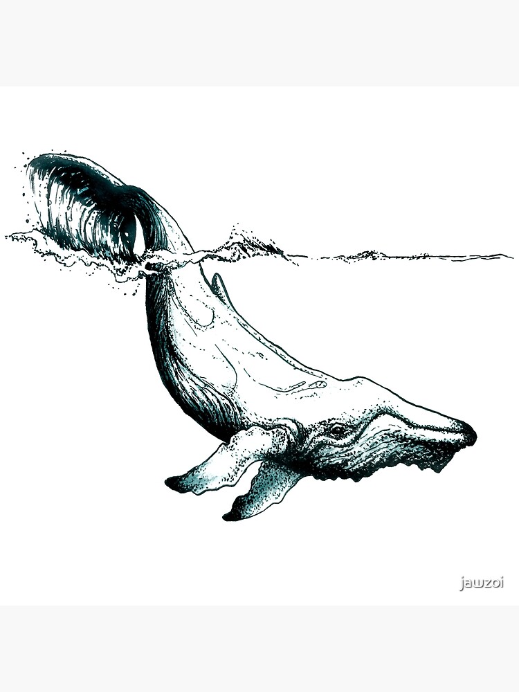 "The Majestic Minimal - Right Whale Art" Poster for Sale by jawzoi ...