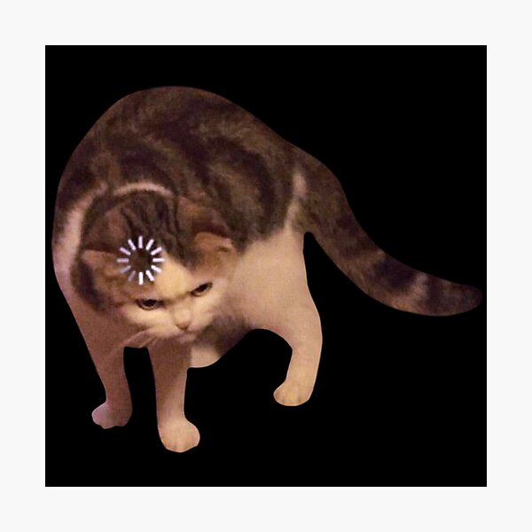Lámina fotográfica «Gato cargando icono meme» de Goath | Redbubble