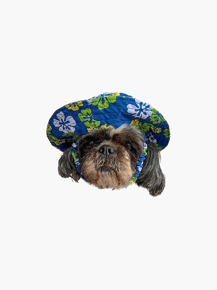 "Sadie" Sticker by PPCCreations | Redbubble