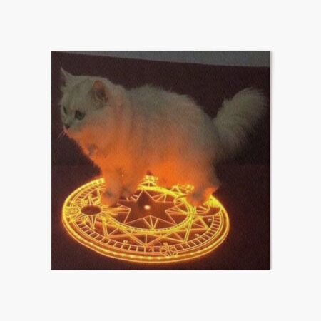 "cat summoning" Art Board Print by Ryandb | Redbubble