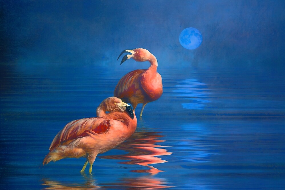 "Flamingo moon" by Brian Tarr | Redbubble