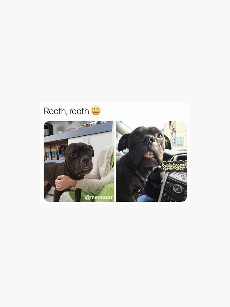 "rooth rooth dog with a lisp" Sticker for Sale by hiitsJazzz2006 ...
