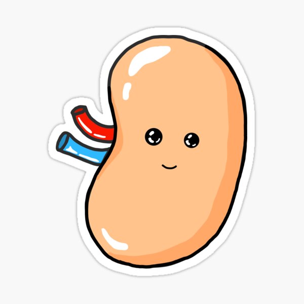 Kidney Gifts & Merchandise for Sale | Redbubble