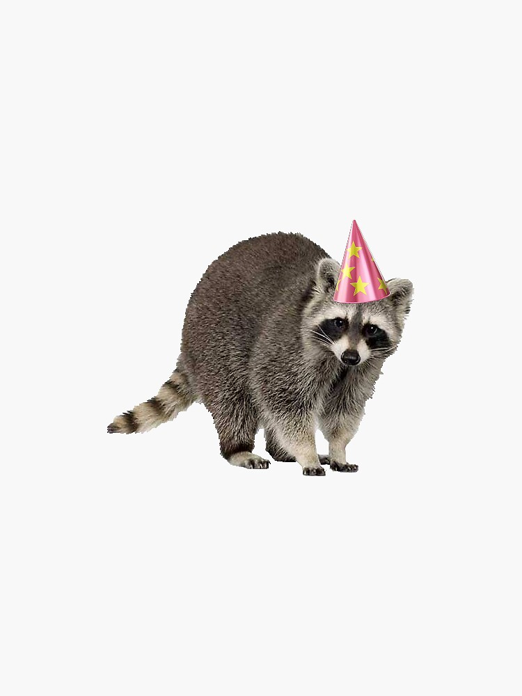 "Raccoon with party hat" Sticker by odanaesset | Redbubble