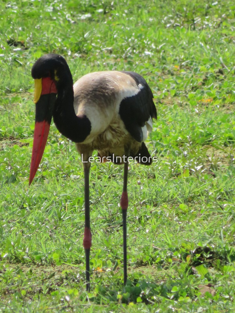 "Secretary Bird " Sticker by LearsInteriors | Redbubble