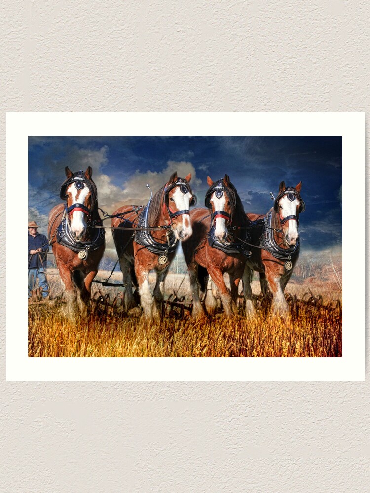 "The Team" Art Print for Sale by PicsByT | Redbubble