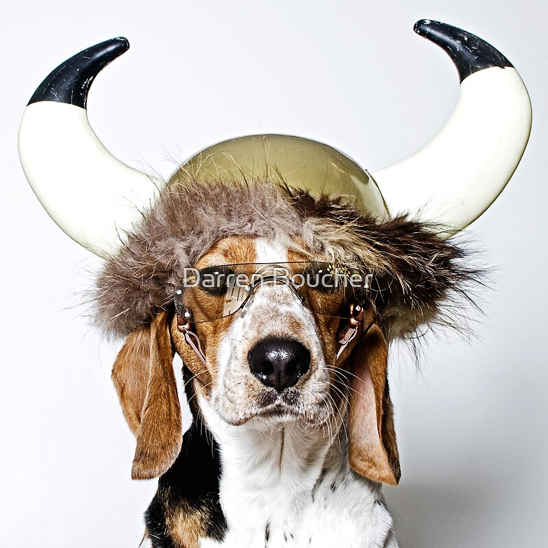"Viking Hound" by Darren Boucher | Redbubble