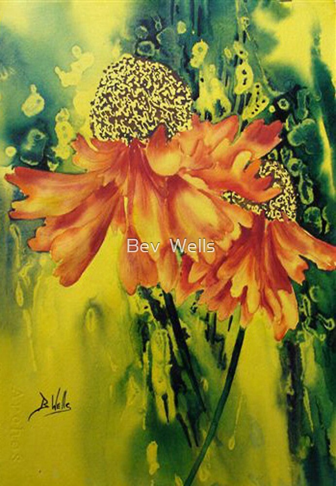 "Wild and Free" by Bev Wells | Redbubble