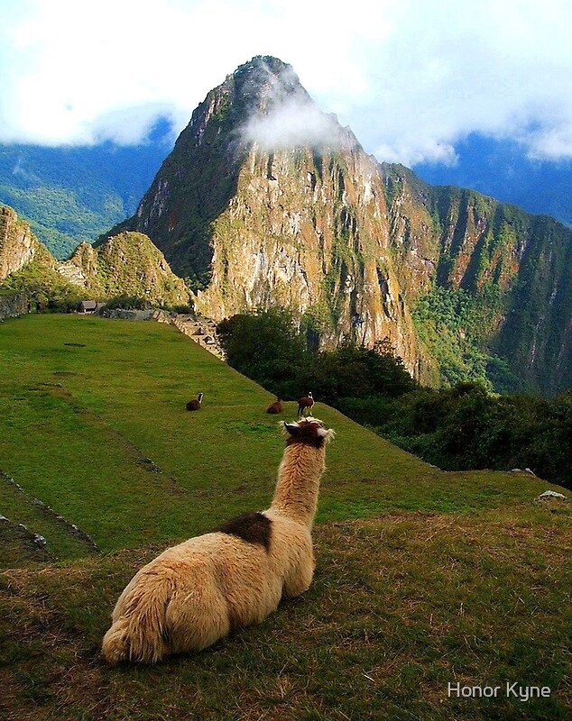 "Machu Picchu - Andes" by Honor Kyne | Redbubble