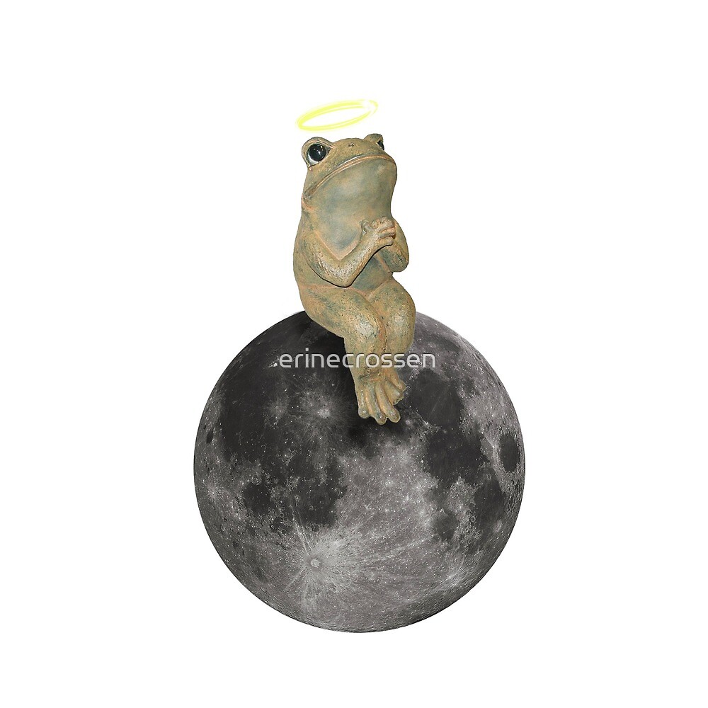 "Moon Frog" by erinecrossen | Redbubble