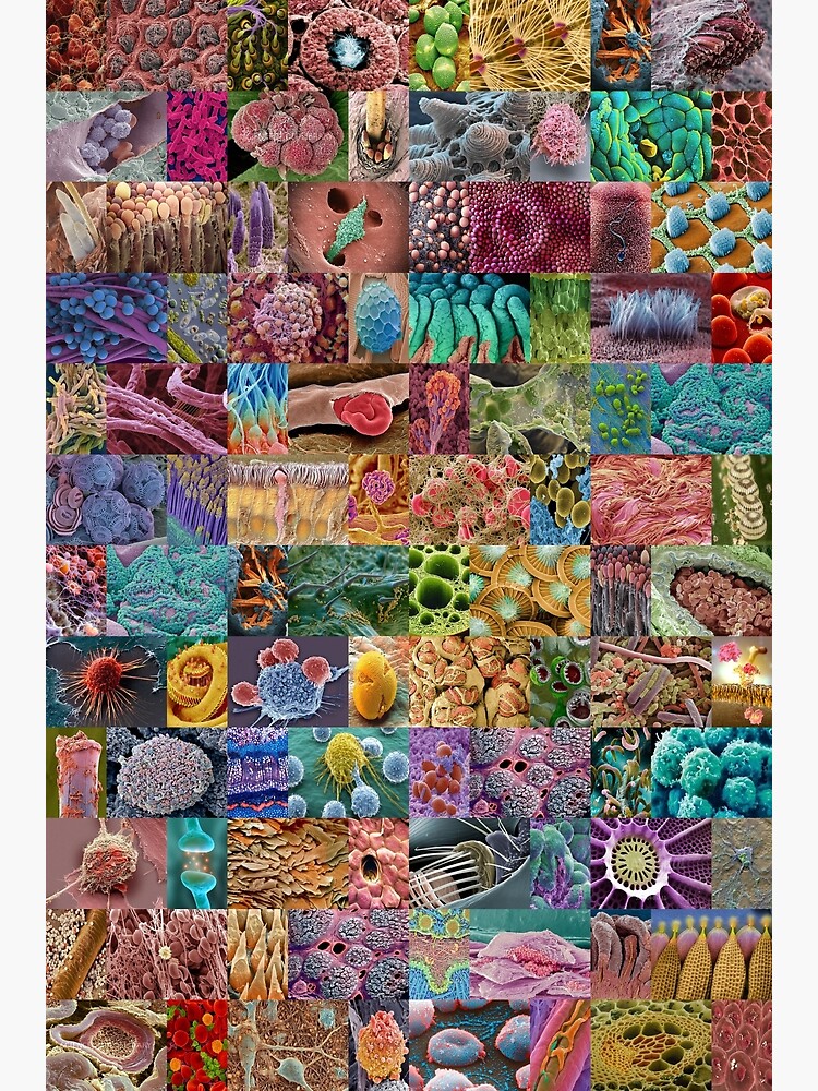 "Electron Microscope" Poster for Sale by Montage-Madness | Redbubble