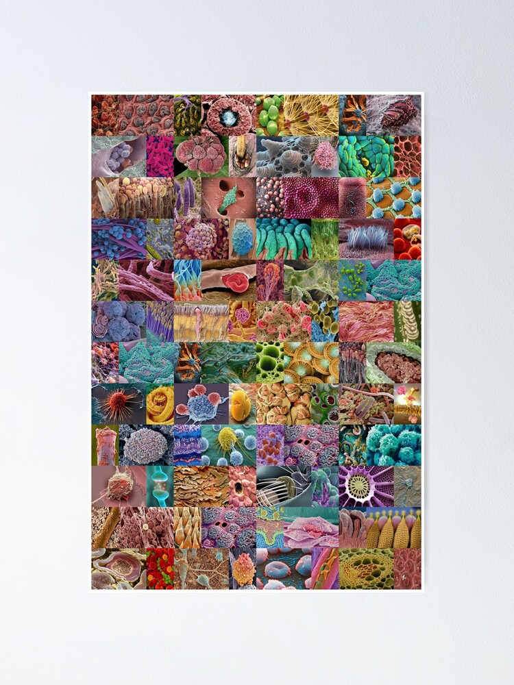 "Electron Microscope" Poster for Sale by Montage-Madness | Redbubble