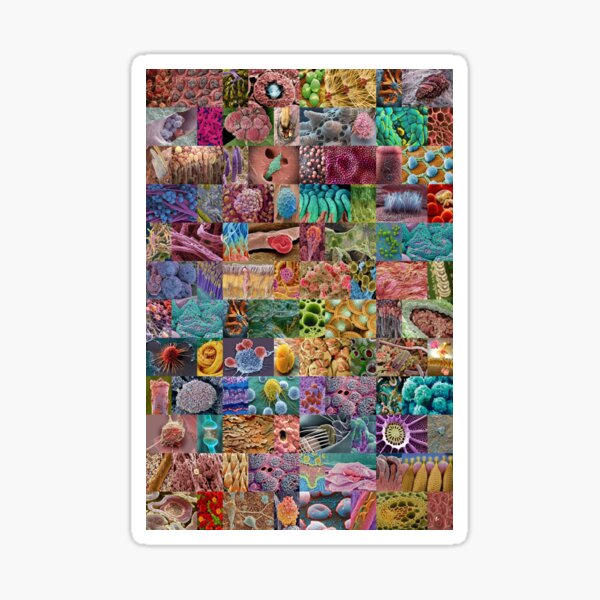 "Electron Microscope" Sticker for Sale by Montage-Madness | Redbubble