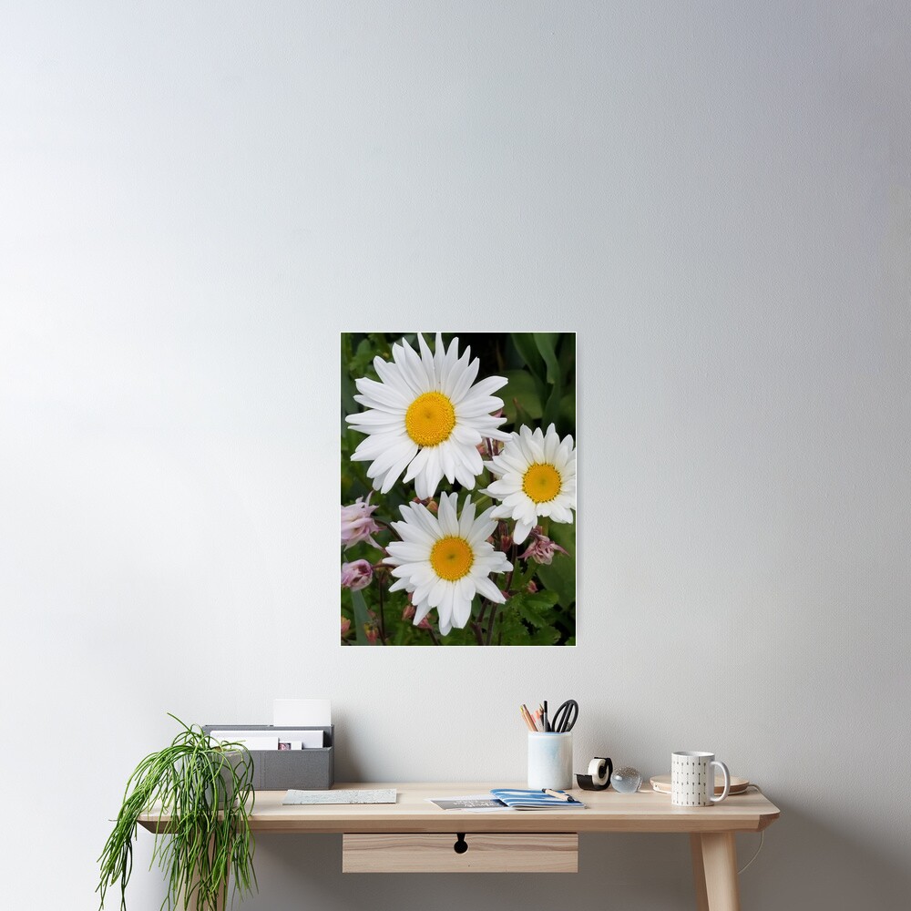 "Three Daisies " Poster by Rose813 | Redbubble