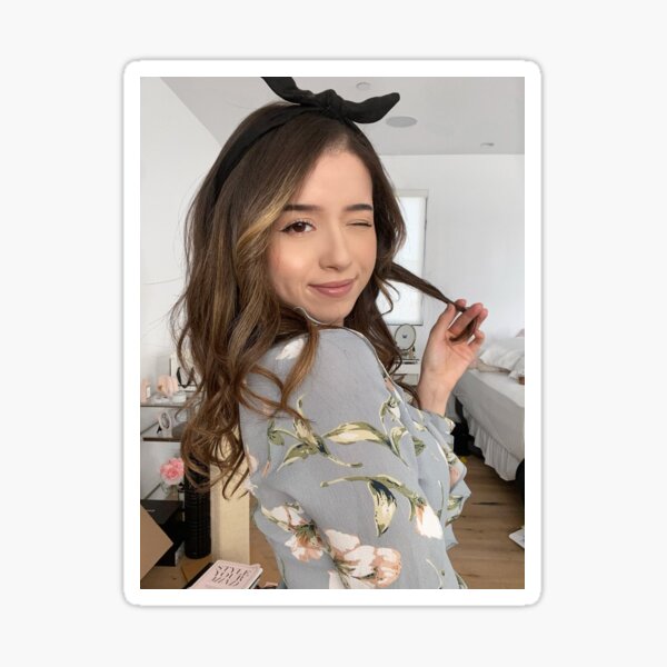Pokimane Gifts & Merchandise | Redbubble