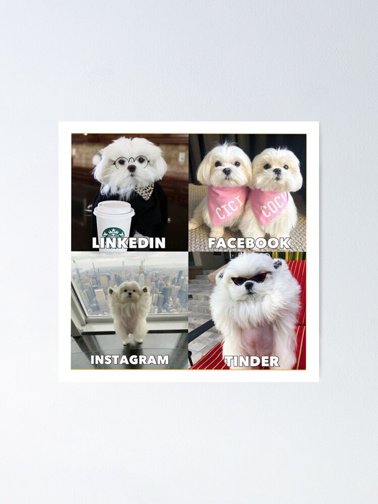 "Linkedin,Facebook,Instagram,Tinder" Poster by Banjan | Redbubble