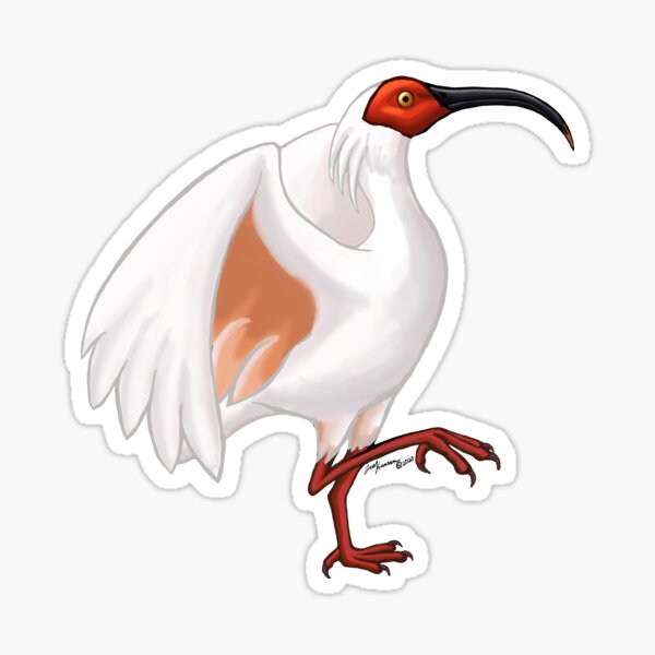 "Asian Crested Ibis" Sticker for Sale by imagineuniverse | Redbubble