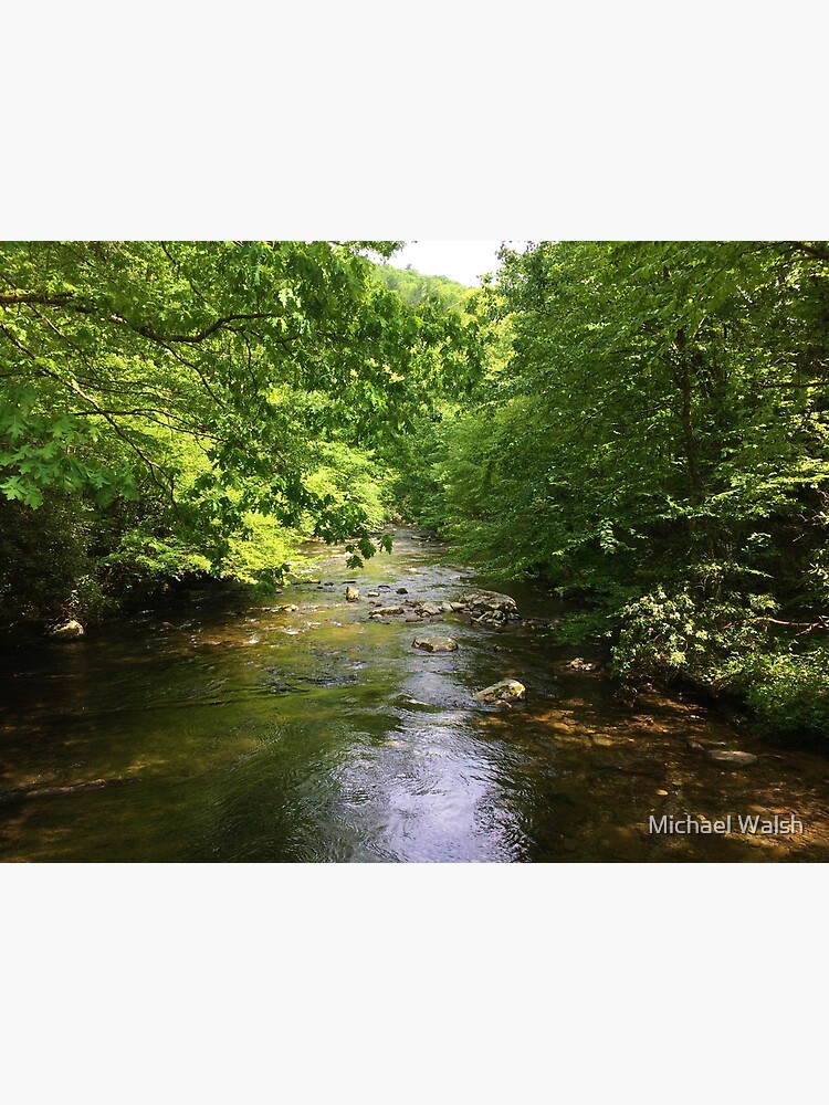 "Peaceful Summer Stream" Photographic Print for Sale by walshmj | Redbubble
