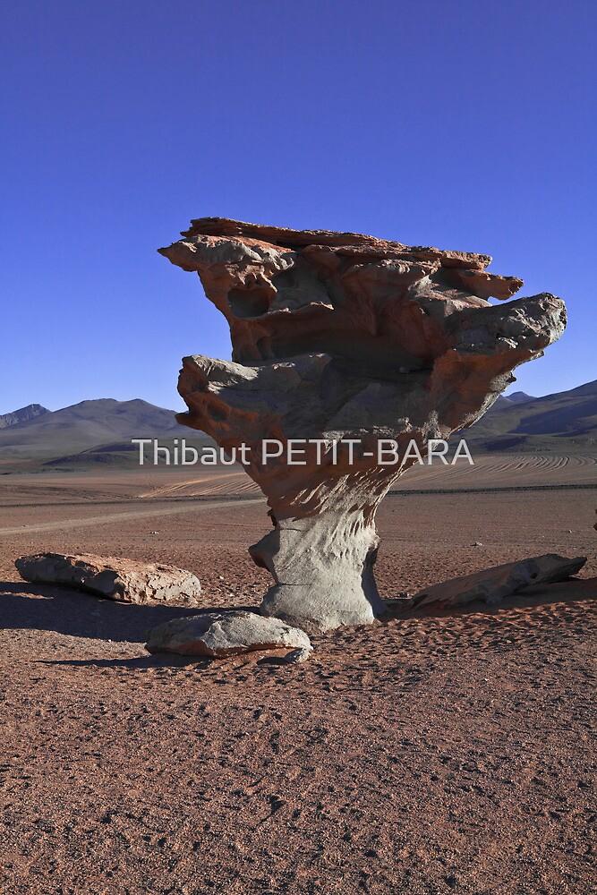 "Arbol de Piedra (stone tree) - Siloli Desert, Uyuni, Salar, Atacama ...
