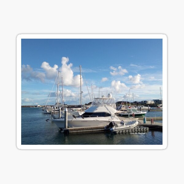 "Moored Yachts" Sticker by LizEllisPhotos | Redbubble