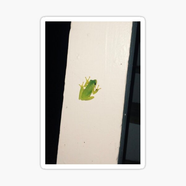 "Baby Frog" Sticker for Sale by tina-christina | Redbubble