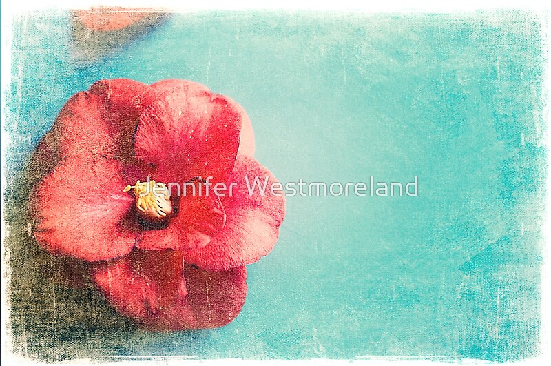 "Aged Red Flower on turquoise background" by Jennifer Westmoreland ...
