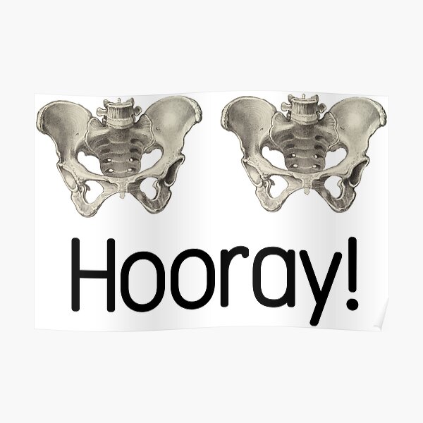 "hip hip hooray pelvis anatomy" Poster by mvsoileau | Redbubble