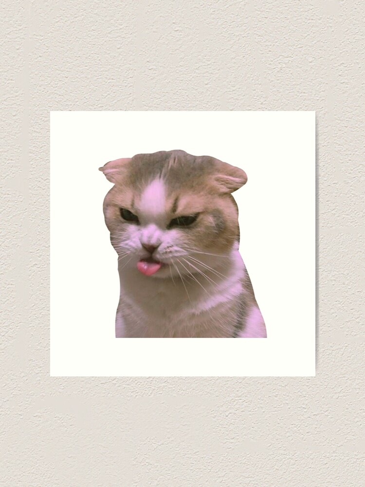 "Cat meme" Art Print for Sale by vandastickers | Redbubble
