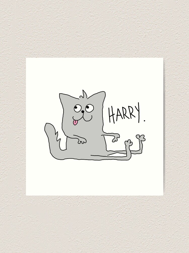 "Harry Styles SNL Cat Drawing with Signature" Art Print by alyssa9102 ...