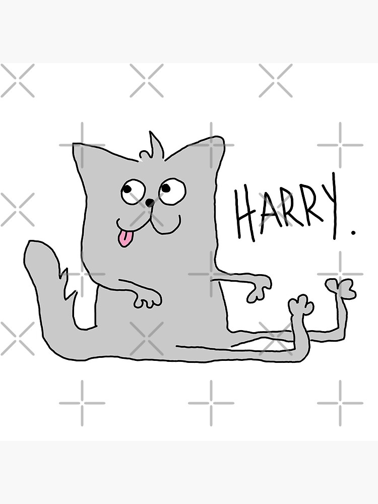 "Harry Styles SNL Cat Drawing with Signature" Poster by alyssa9102 ...